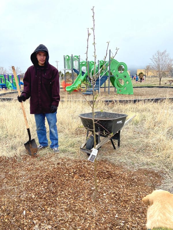 Fundraiser to Plant Memorial Trees at Questa Municipal Park | LEAP